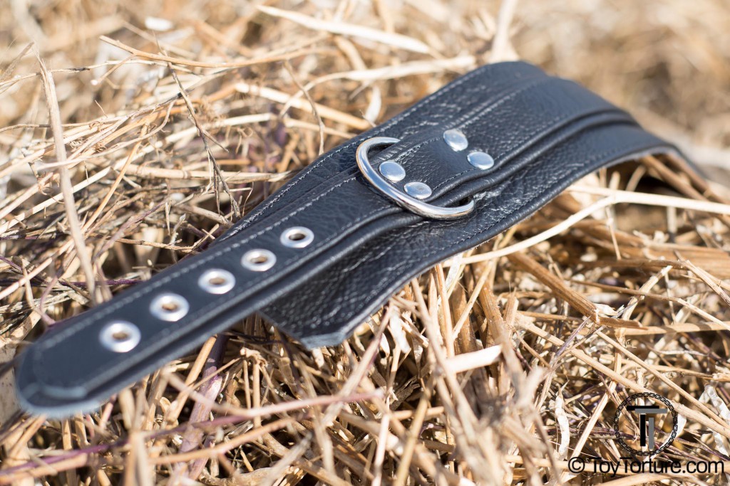 Buyers Guide to Restraints – ToyTorture.com