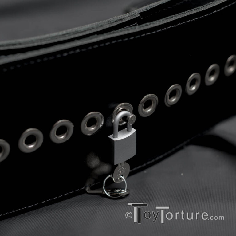 Fetters Leather Chest Binder Restraints – ToyTorture.com
