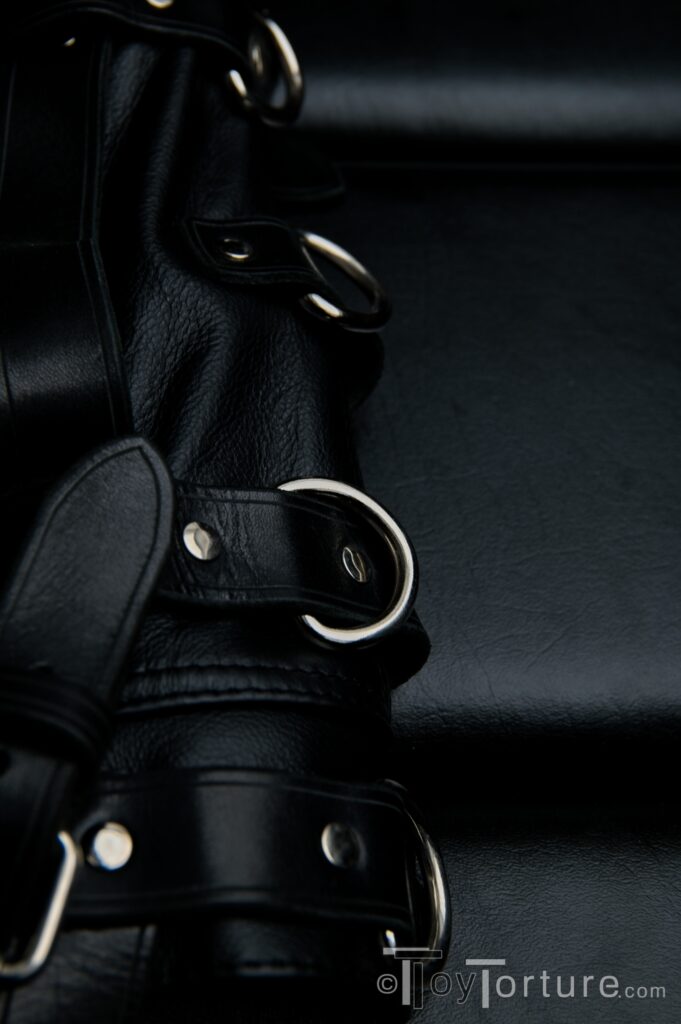 Vector Padded Straitjacket – ToyTorture.com